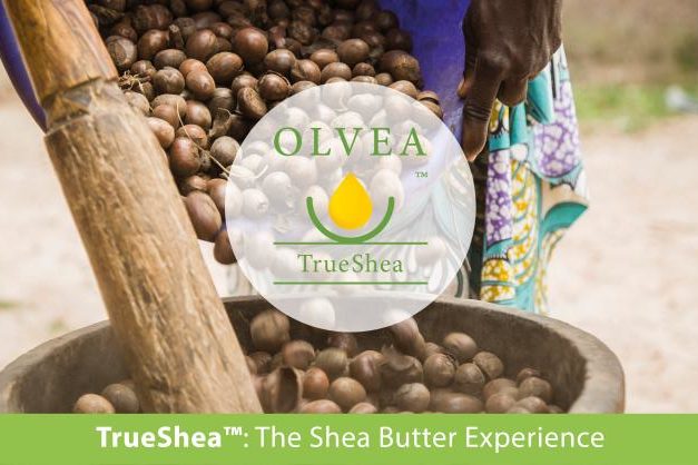 OLVEA Group - Vegetable oils and Fish oils