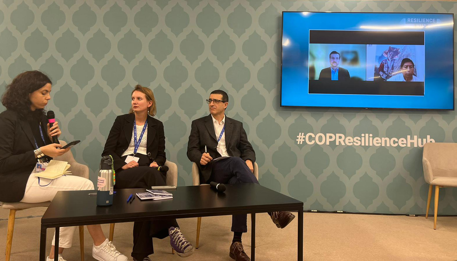 COP28: Speech by Emmanuel Petiot